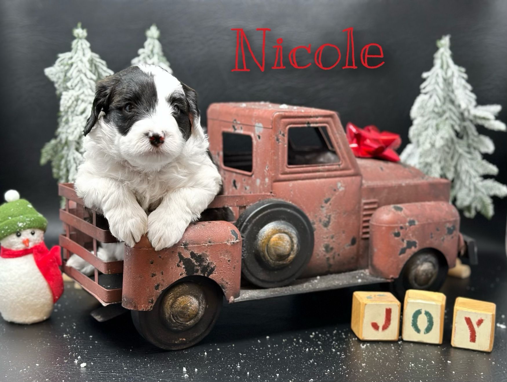 Princess Sadie and Prince Charming – California Magnificent Mini ...