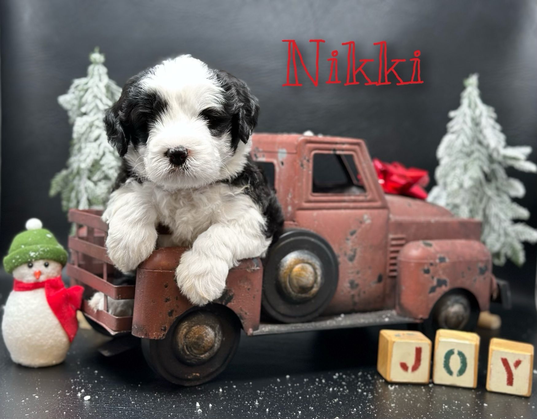 Princess Sadie and Prince Charming – California Magnificent Mini ...